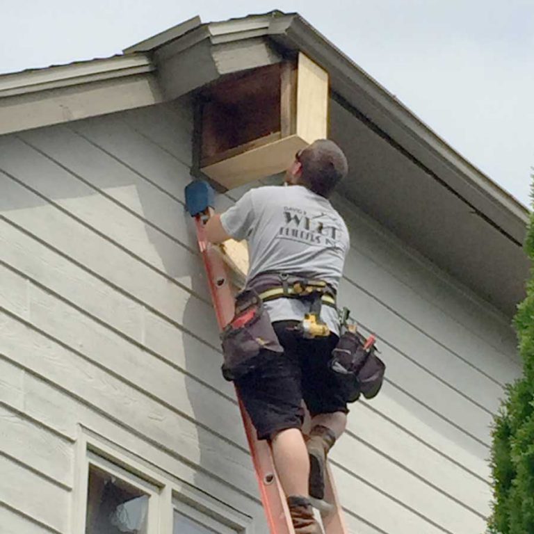 Webb Builders | Home Construction and Remodeling NW OH+SE MI